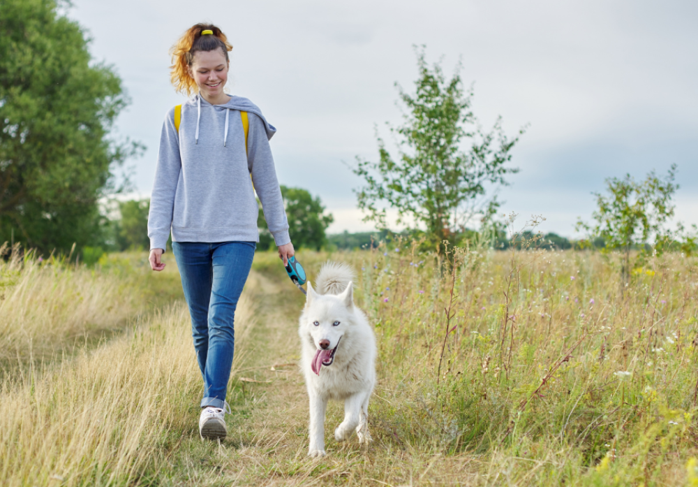 Living Well Series | healthAbility - Be healthy and well in your home ...