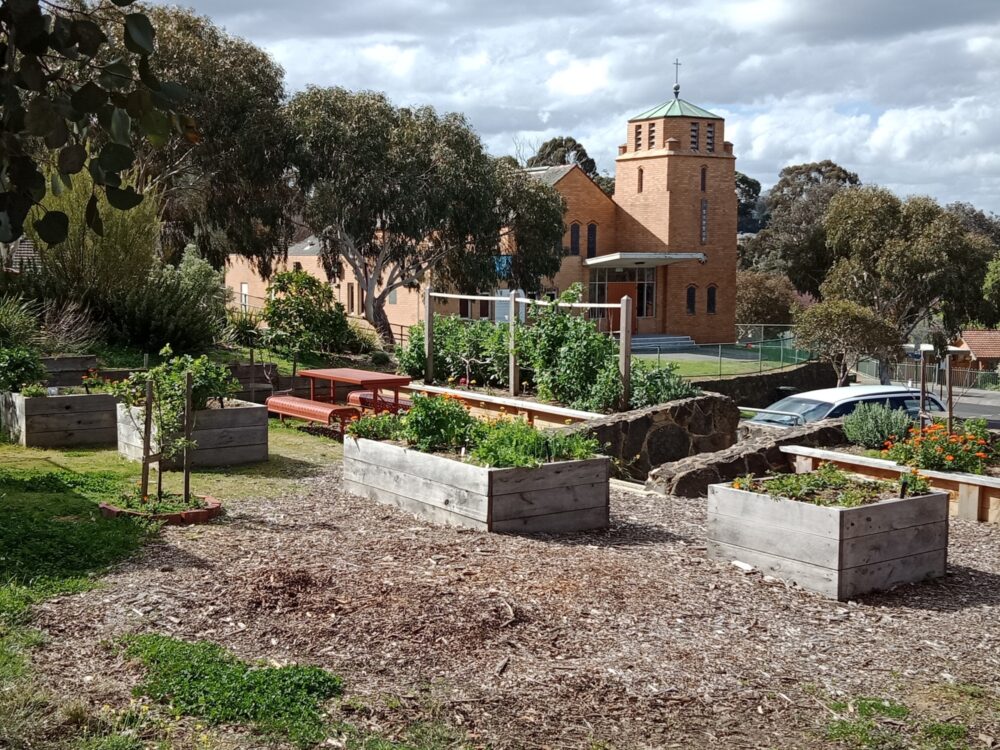 Wattle Hill communal garden to thrive again thanks to grant ...