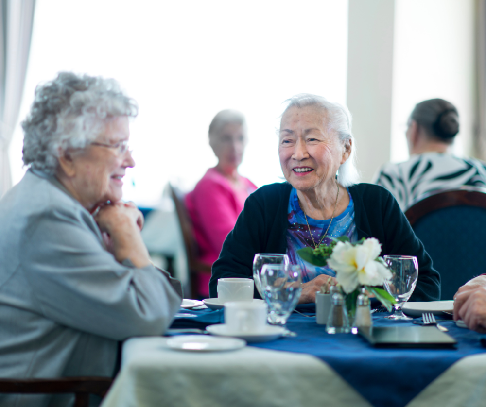 Seniors Outings - July and August 2024 | healthAbility - Be healthy and ...